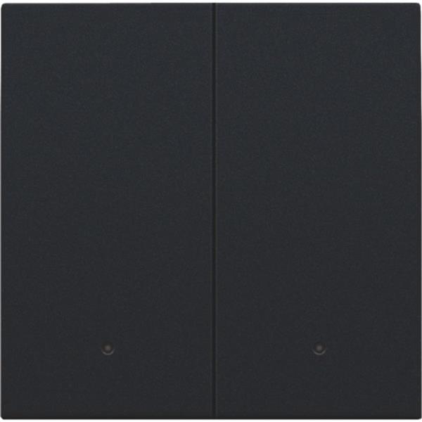 Niko Pure steel black Toets 2-voudig met lens voor elektronische ...